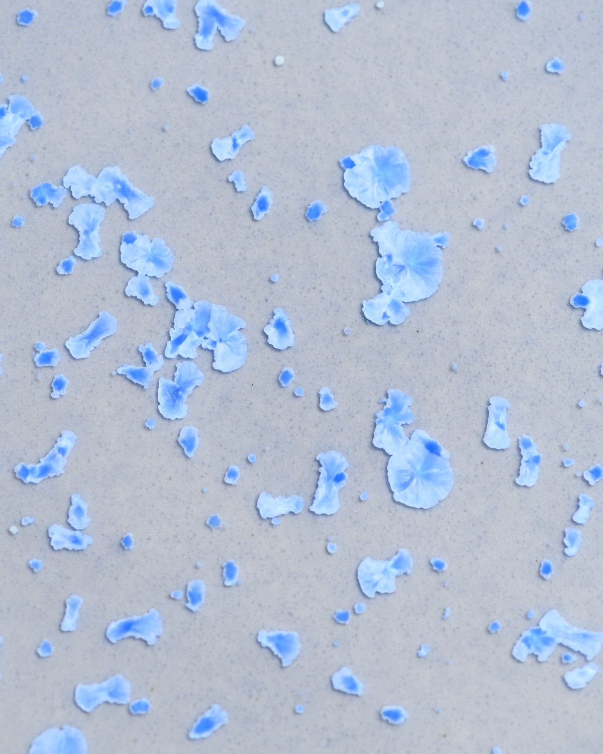 Crystal Blue – Glaze Me Pretty